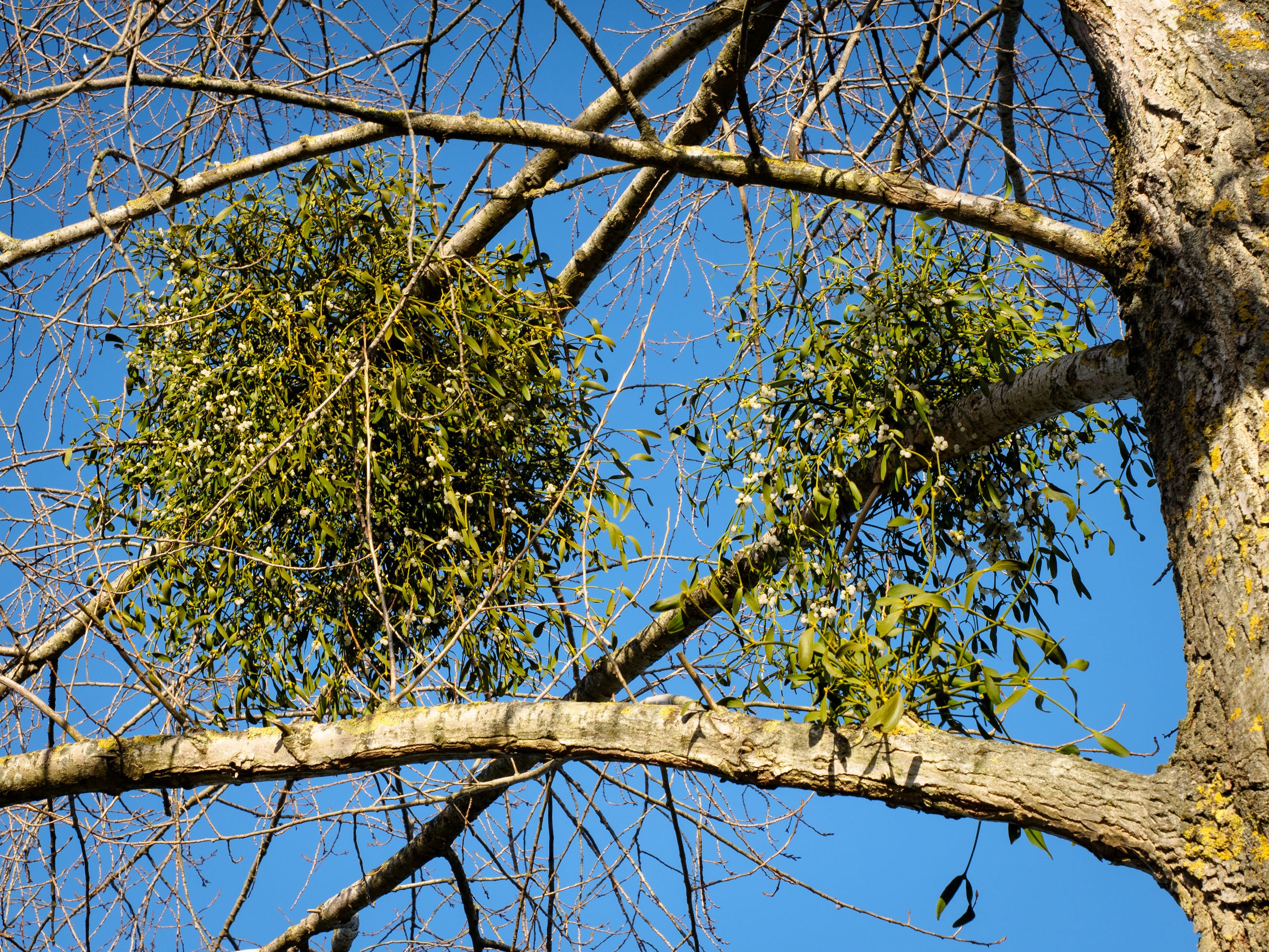 What To Look For In January - by David Bocking