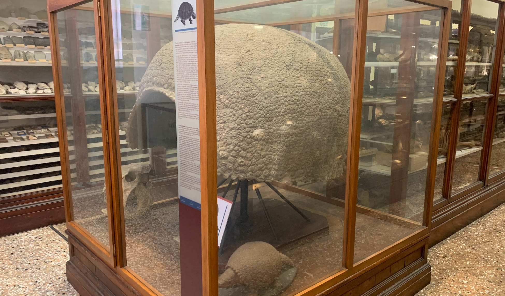 Let's look at some old Italian handwriting - by Ricardo