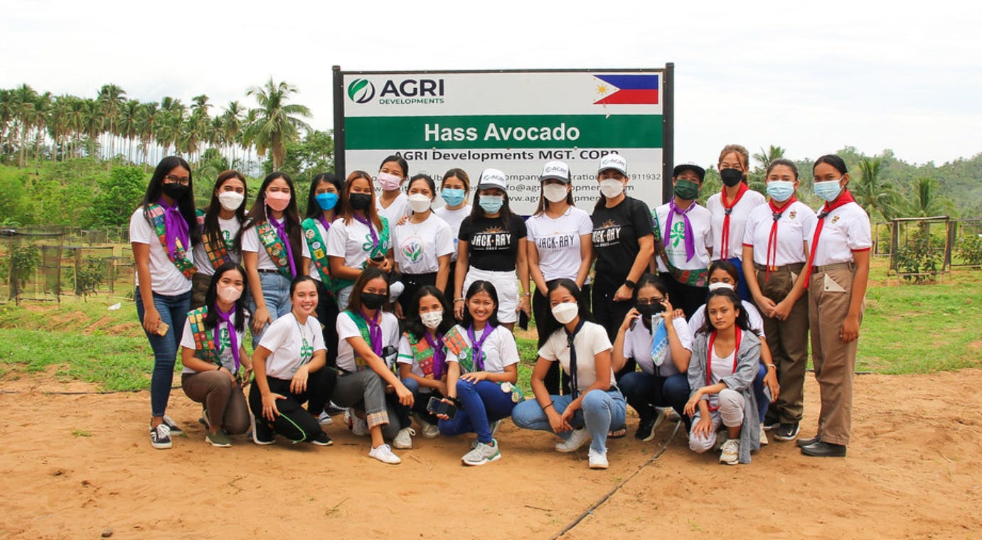 🥑 Growing Avocados in the Philippines