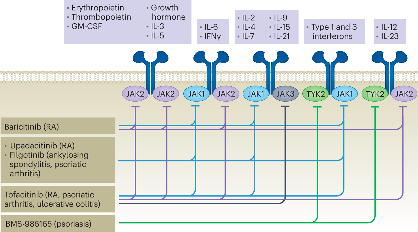 Immunology Cheat Sheet - by Dylan Neel and Aniqa Tasnim