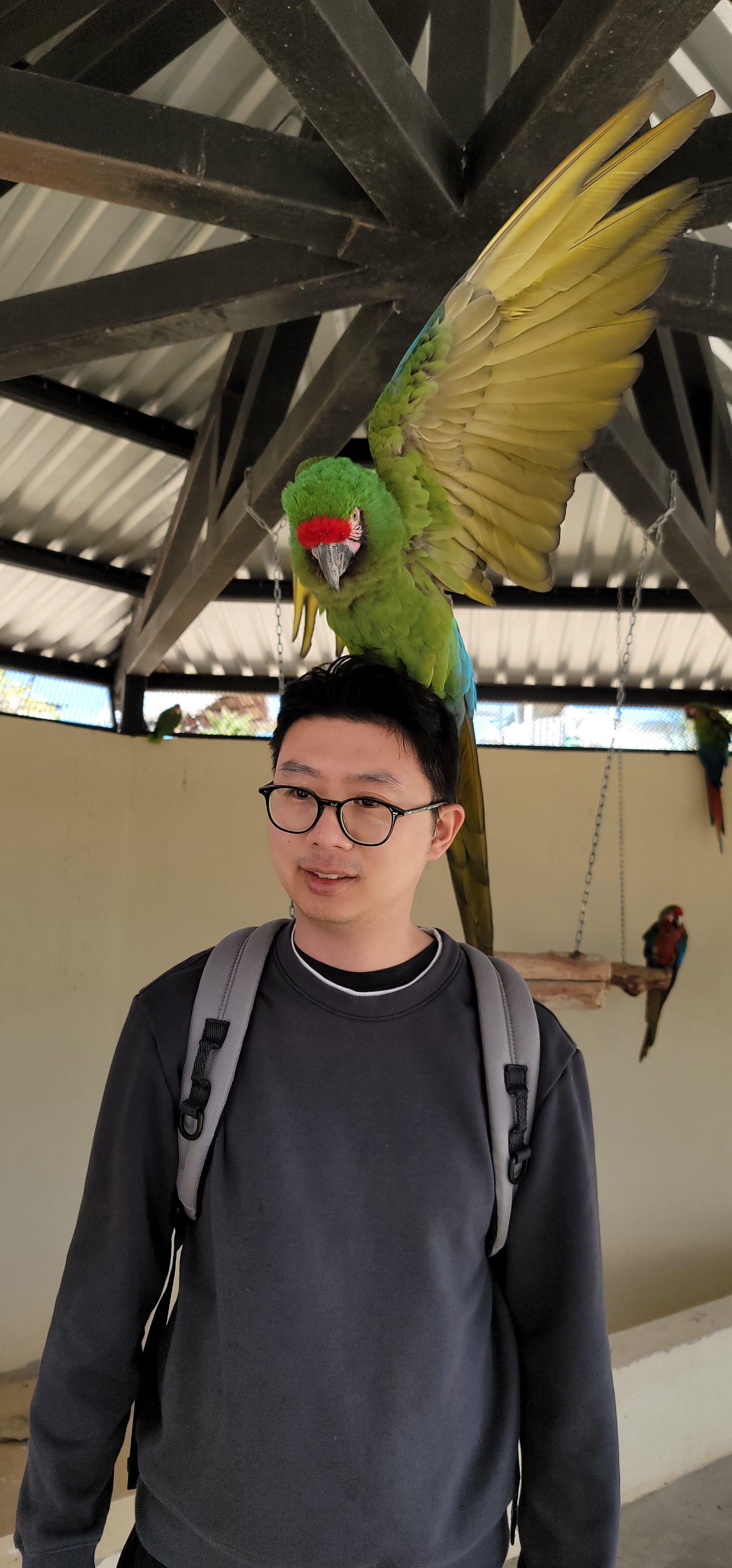 Henry Bee | Substack