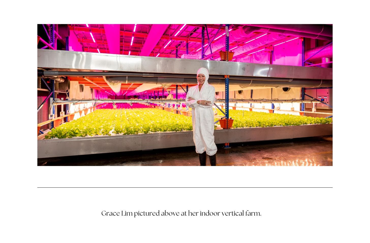 Issue 7: The Conversation with Grace Lim