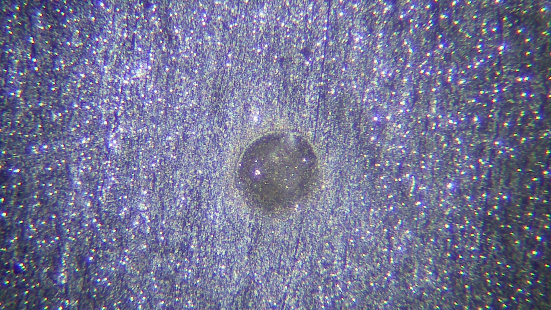 Coke, Pepsi, Evian, Fiji Water, Coconut Water & a Steak under the ...