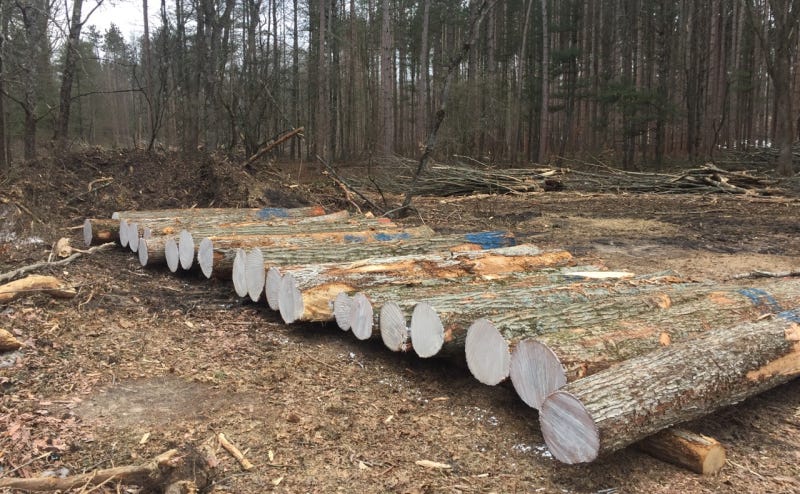 Making Lumber From Logs – How To - by John Newell