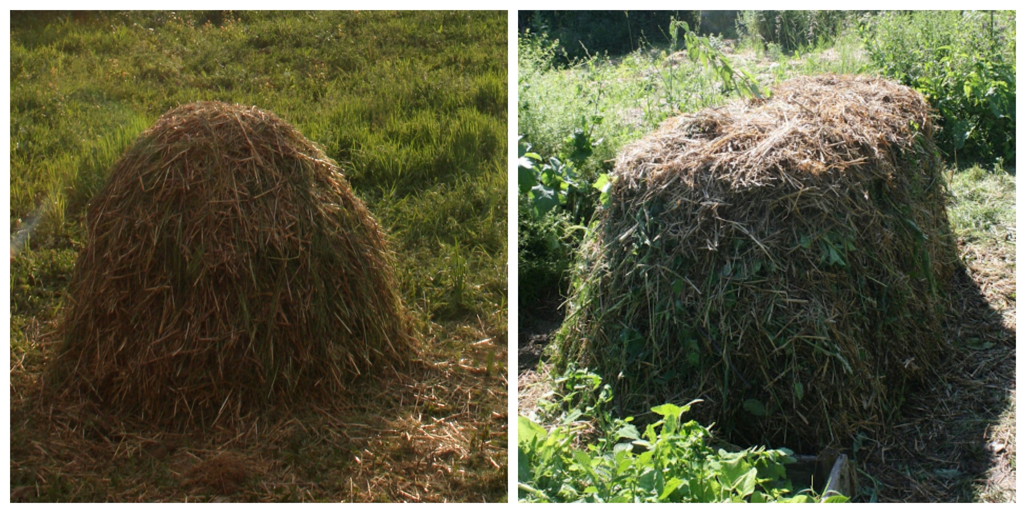 Balkan Ecology Project : Composting - How to make it , how to use it ...