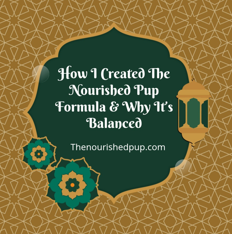 How I Created The Nourished Pup Formula & Why It’s Balanced