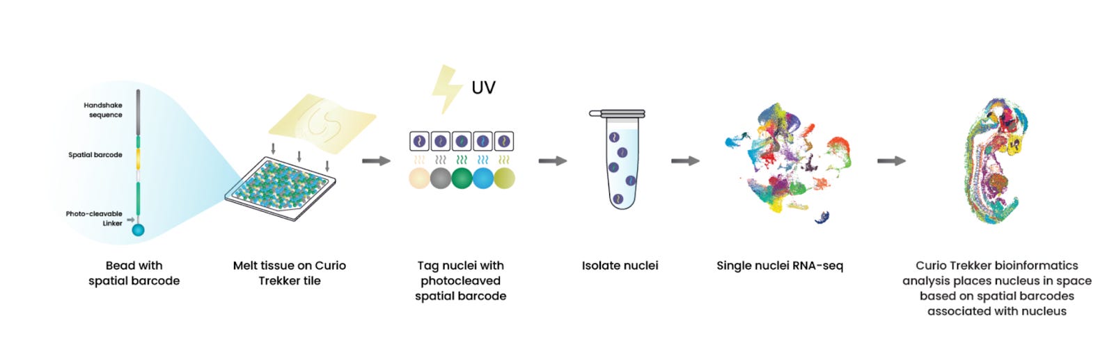 Landscape of Sequencing-based Spatial RNA Technology: Part I