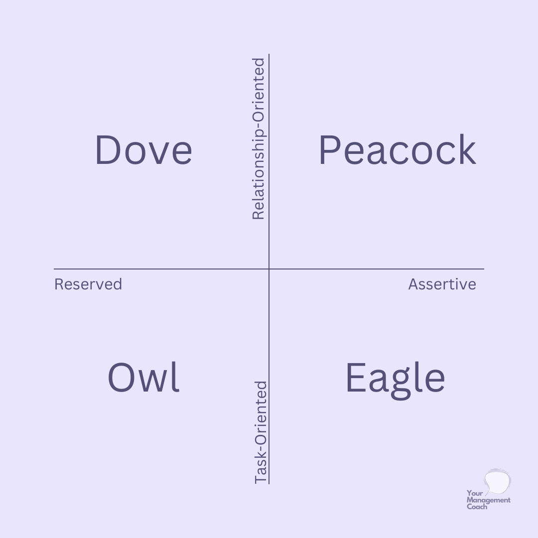 DOPE 4 Bird Management Styles - by Emma Winningham