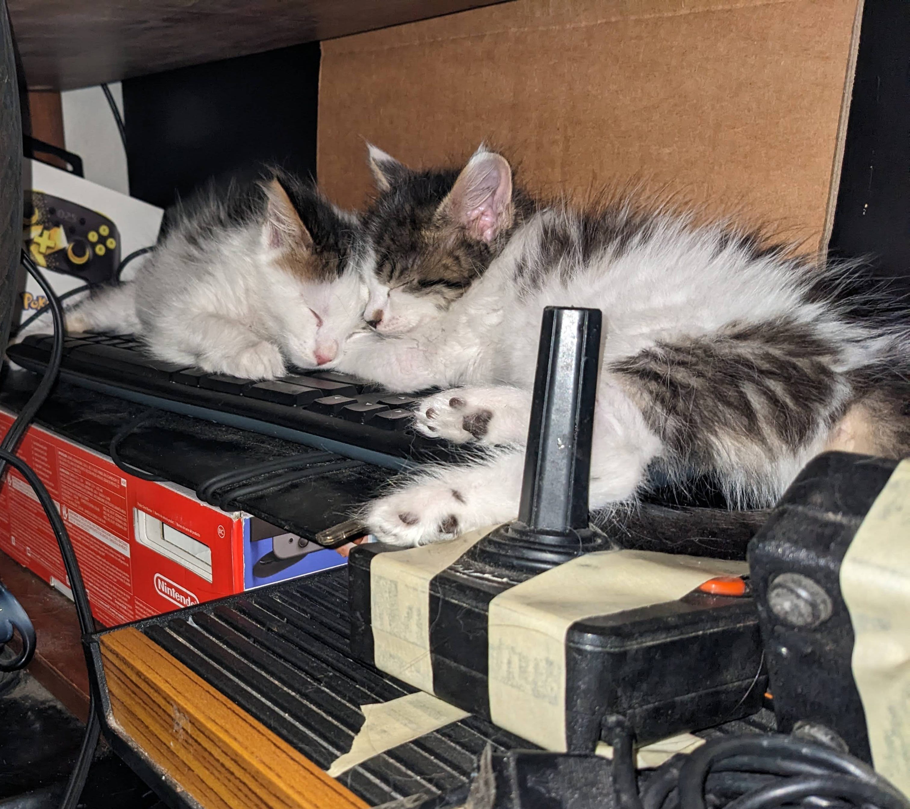 Dragon Slayer - by Kai MFS - Fun Sized Fiction