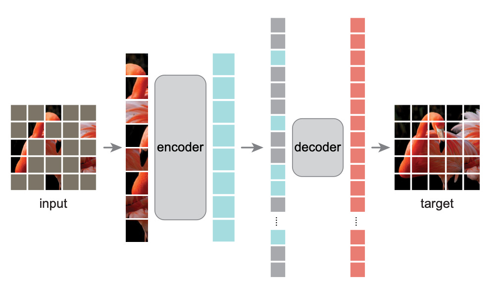 RevAIval of Ideas: From Next-Generation Convolutional Neural Networks ...