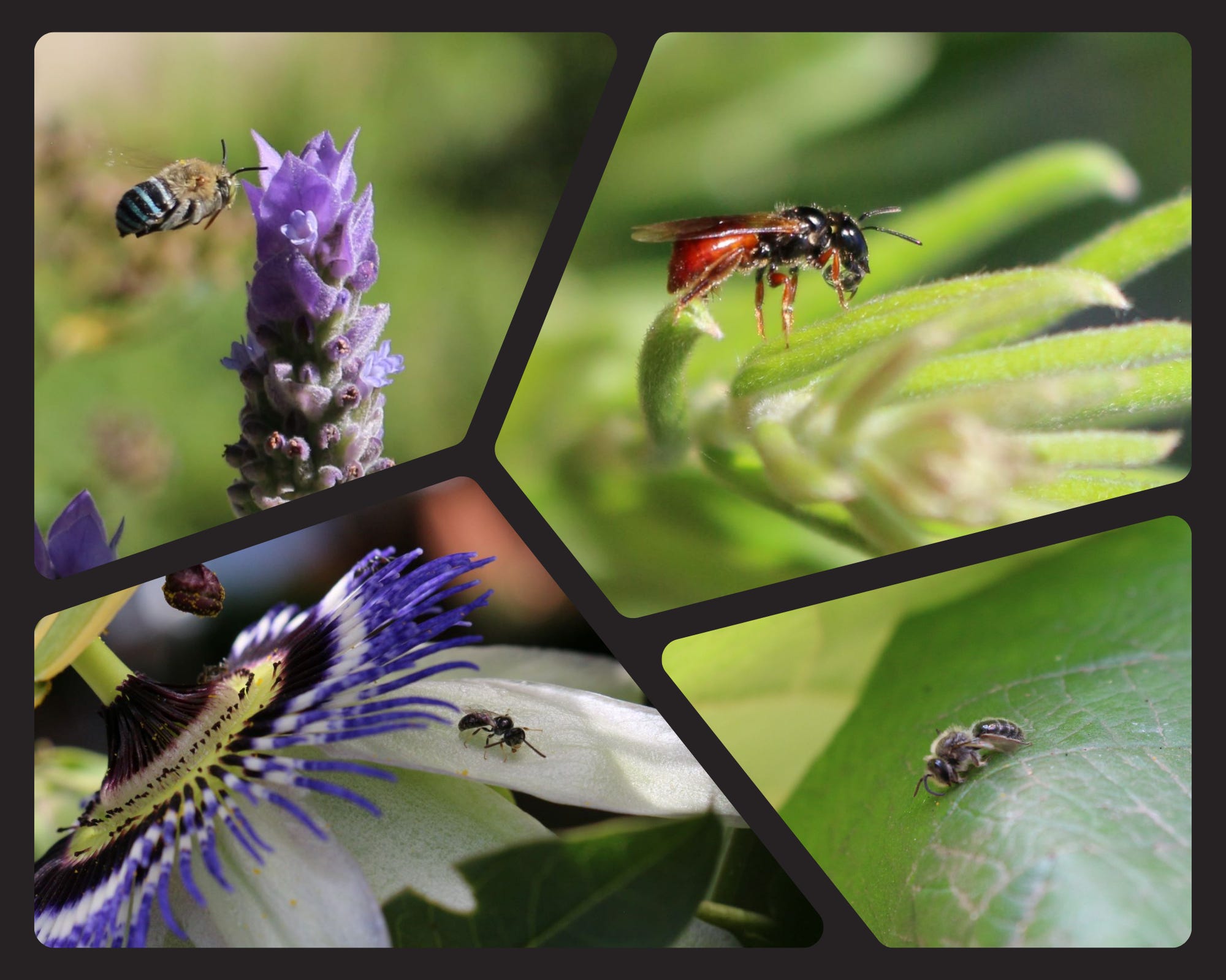 In search of tiny things - by Alia Parker - Mind Flexing