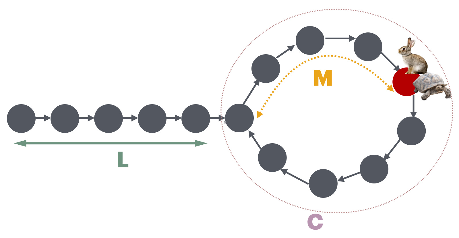 Why the Tortoise and the Hare Algorithm Works