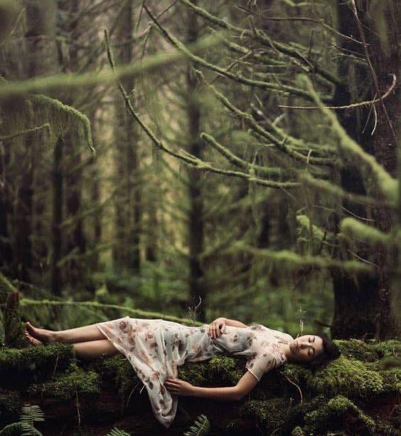 The Wisdom of Joseph Campbell - Poetic Outlaws