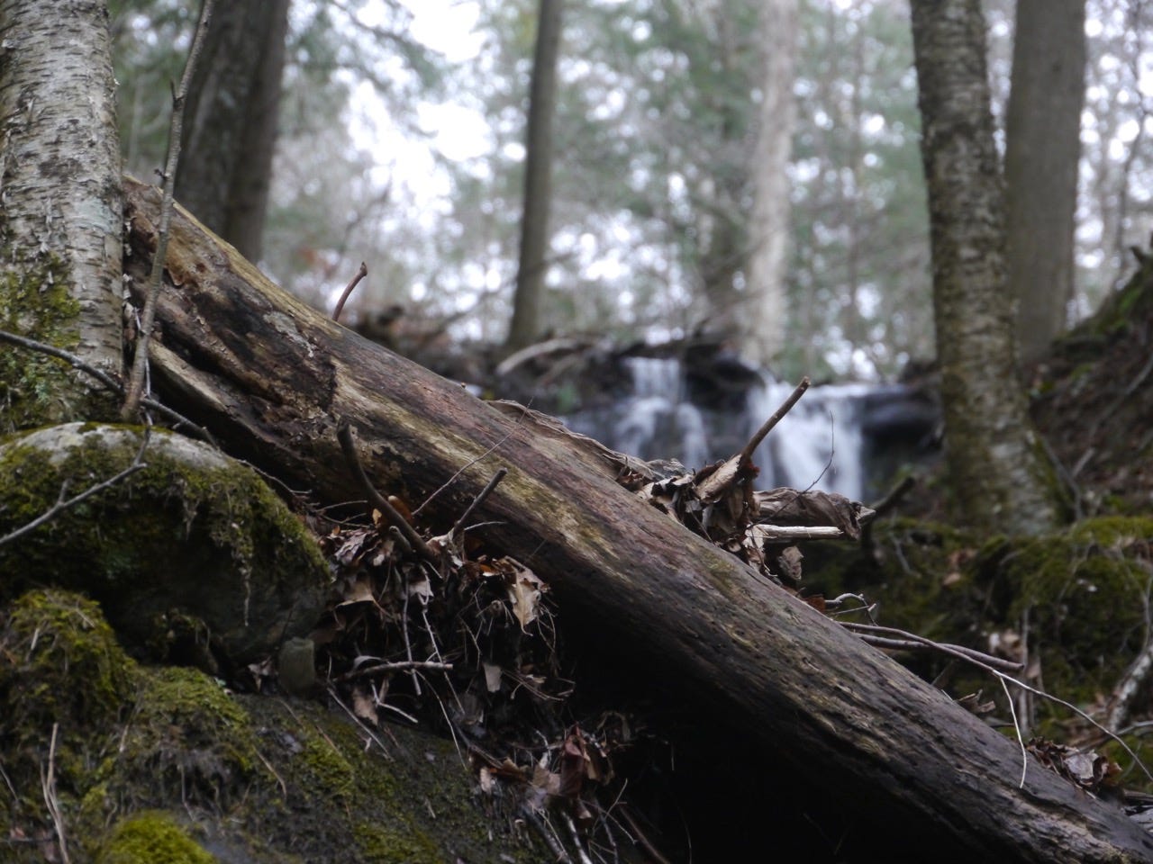Cold Brook - by Kristina Stykos - Vermont Ridgerunner