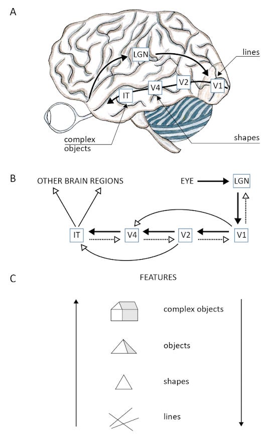 A Grand Unified Theory of Consciousness - by Ian Jobling