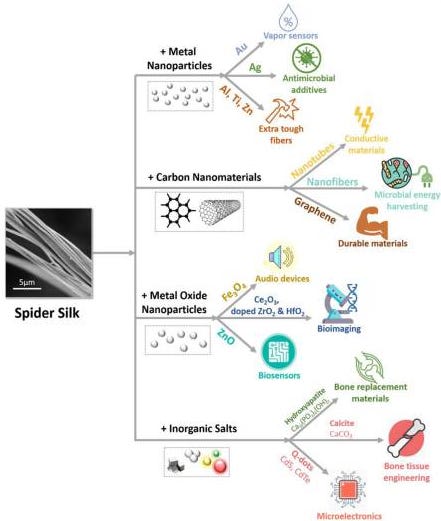 Spider Silk Polyamide Polymers Applications In Self Assembly ...