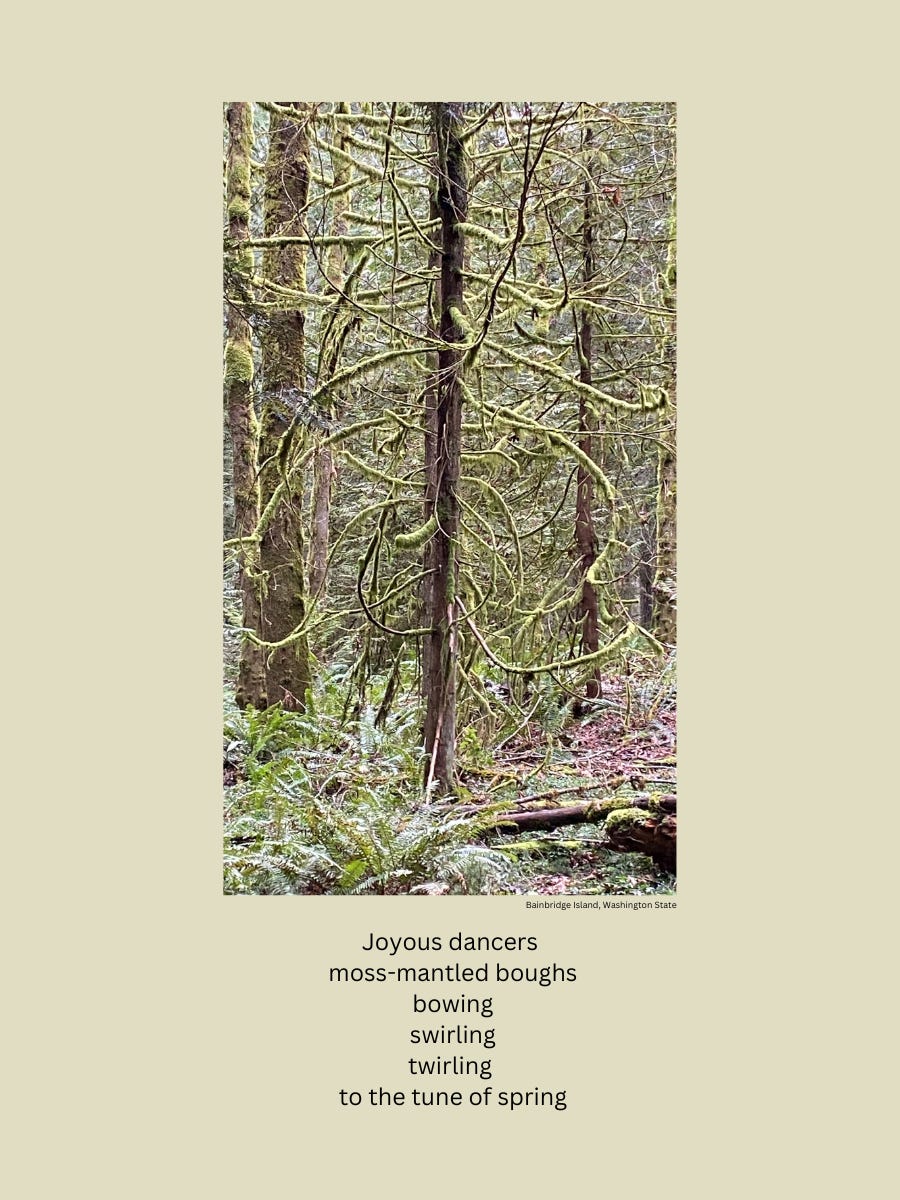 Matisse moment - by Nora O’Dowd - Venture in the slipstream