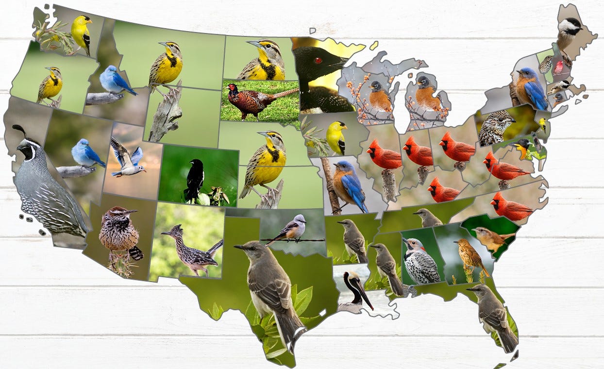 State Symbols - by Jan Spell