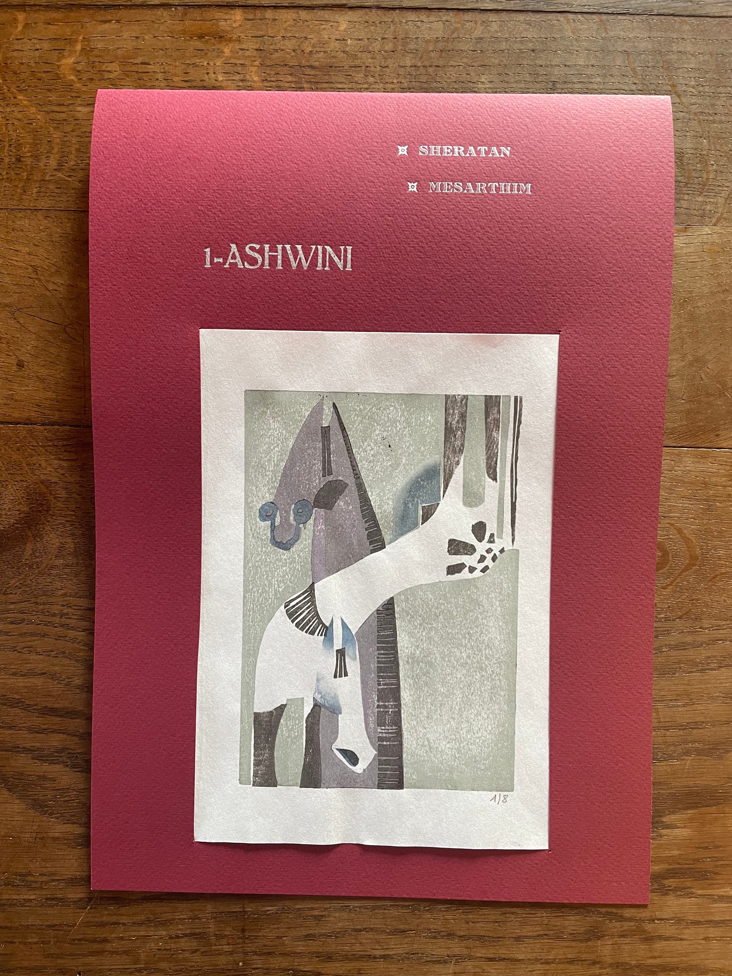 Ashwini - by Francesca Immaginiera - Francesca’s Substack