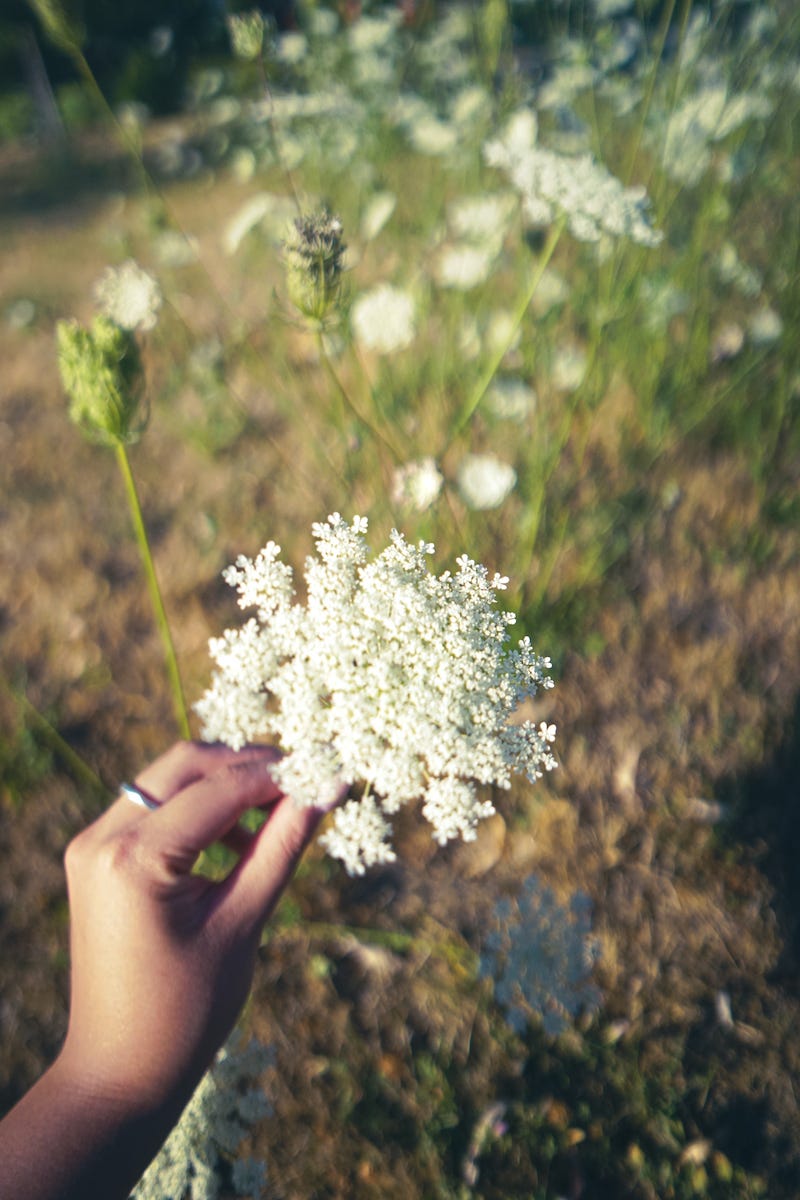 half the club is clinically depressed - by Vicky Gu