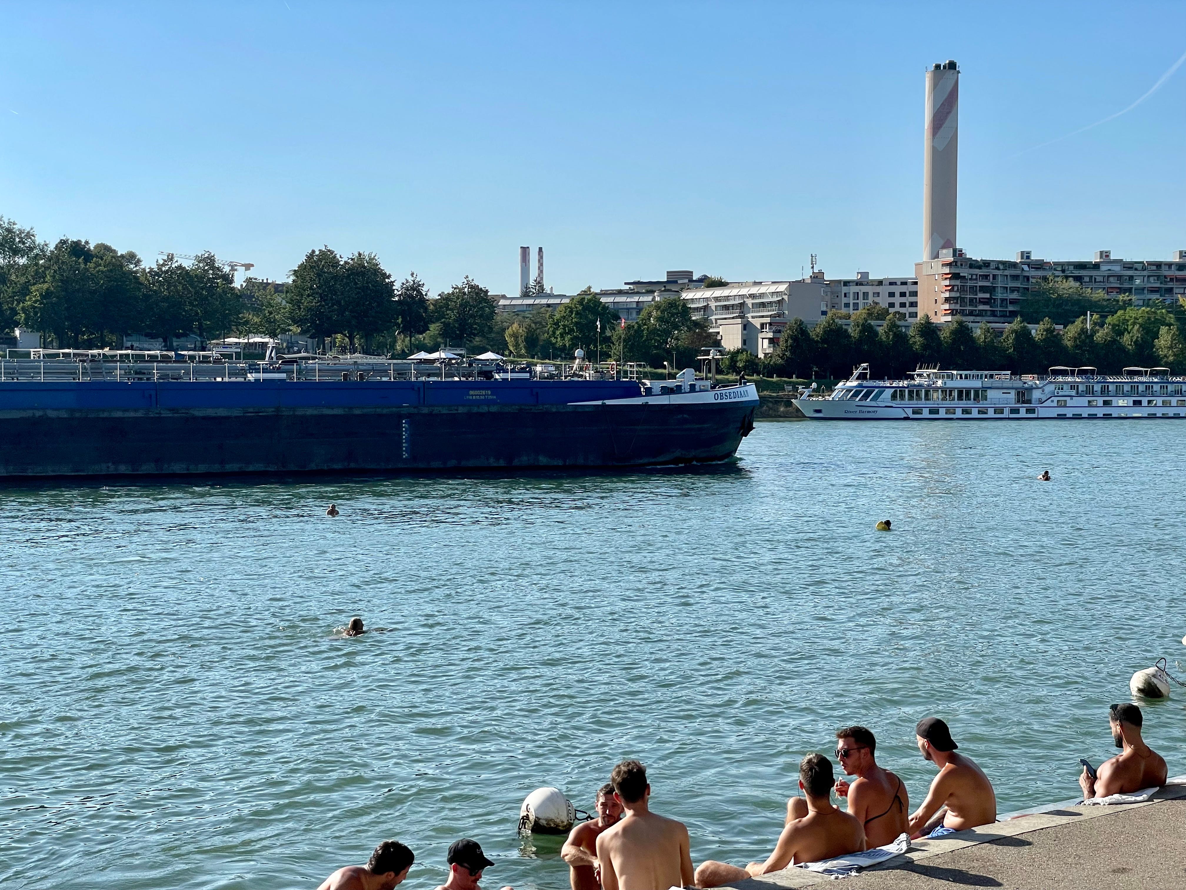 Rhine Swimming - by Linda Golden - ReSwissed