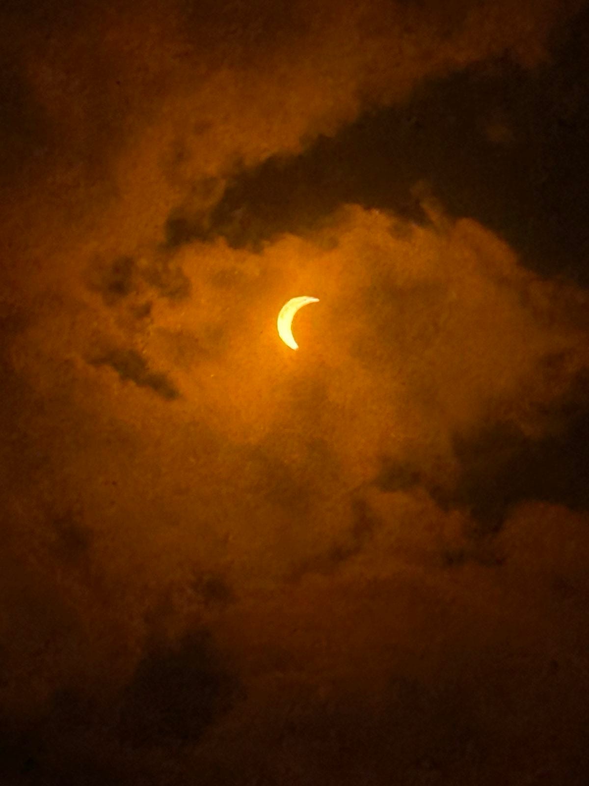 Ann Barnhardt - Edwin’s Newsletter #1