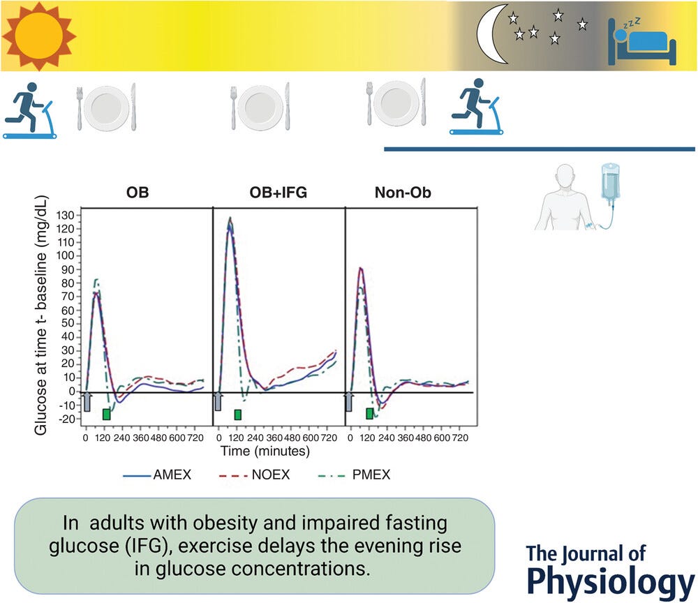 Physiology Friday #192: Is Morning or Evening Exercise Better for Blood ...