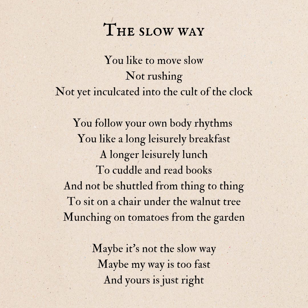 The slow way - by Julia Plevin Oliansky