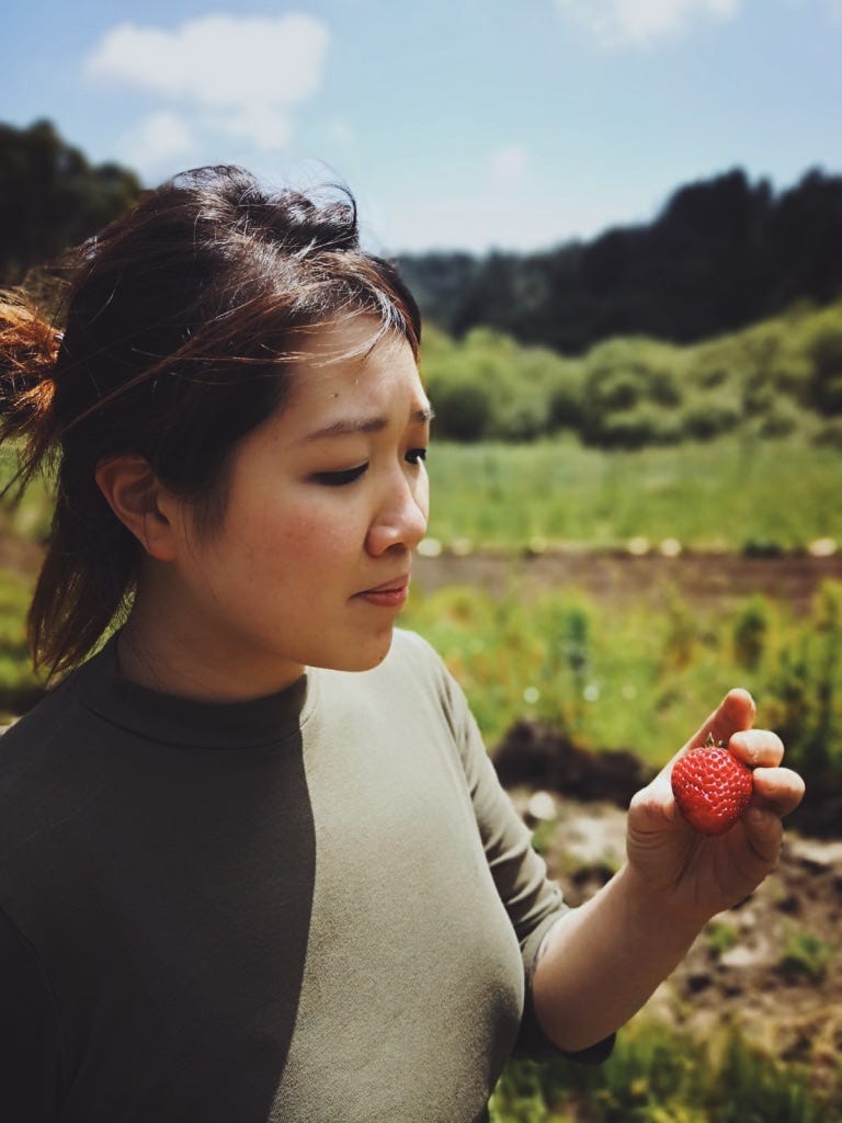 Ethel Koh | Substack