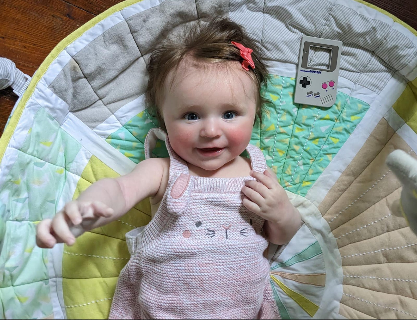 Embryo Selection: Toward a healthier society - Aporia