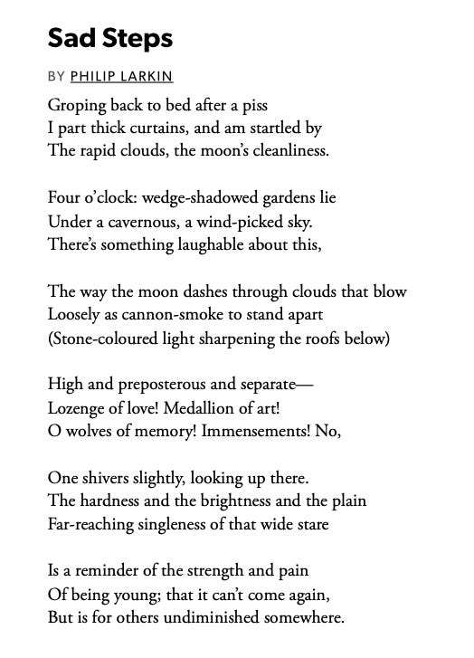 Strawberry Moon: Poems - by Maya C. Popa - Poetry Today