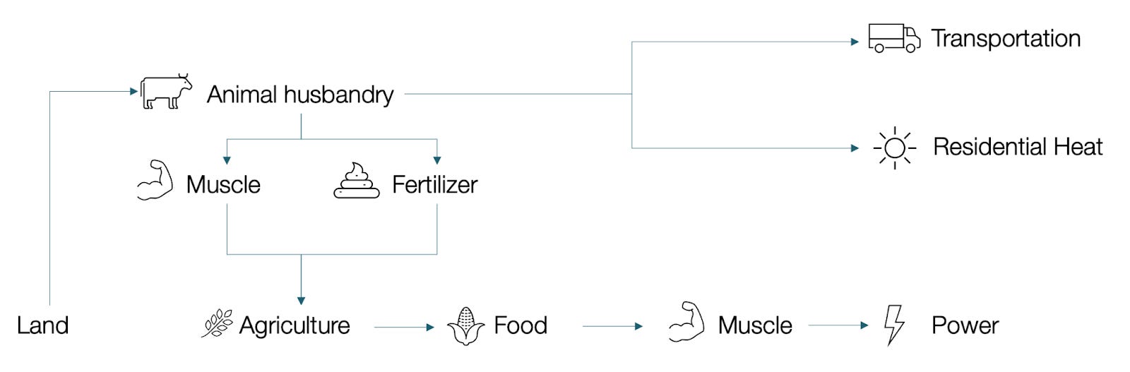 What Can We Learn About Energy from Ancient Energy Revolutions?