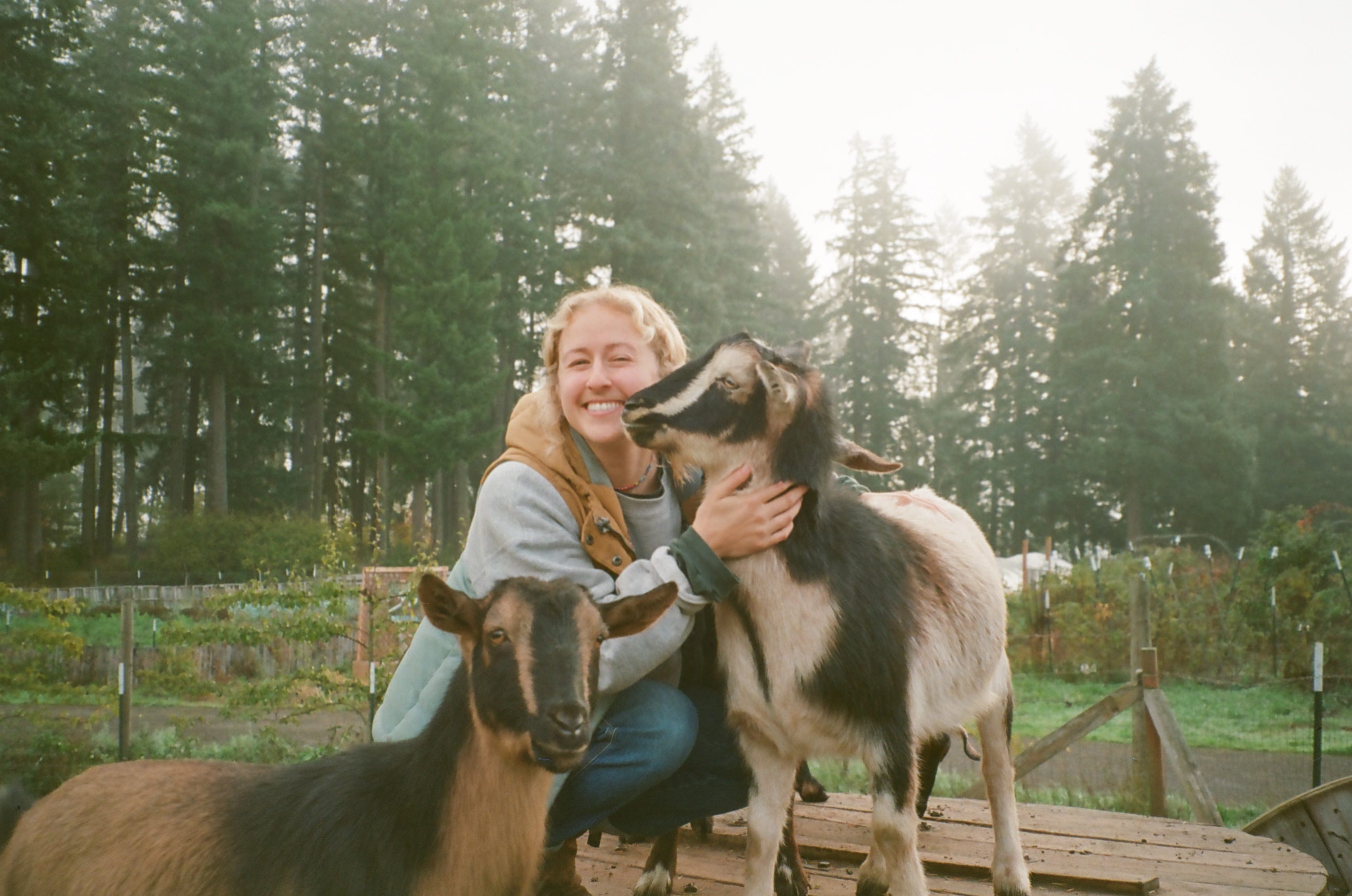 Avery Elias | Substack