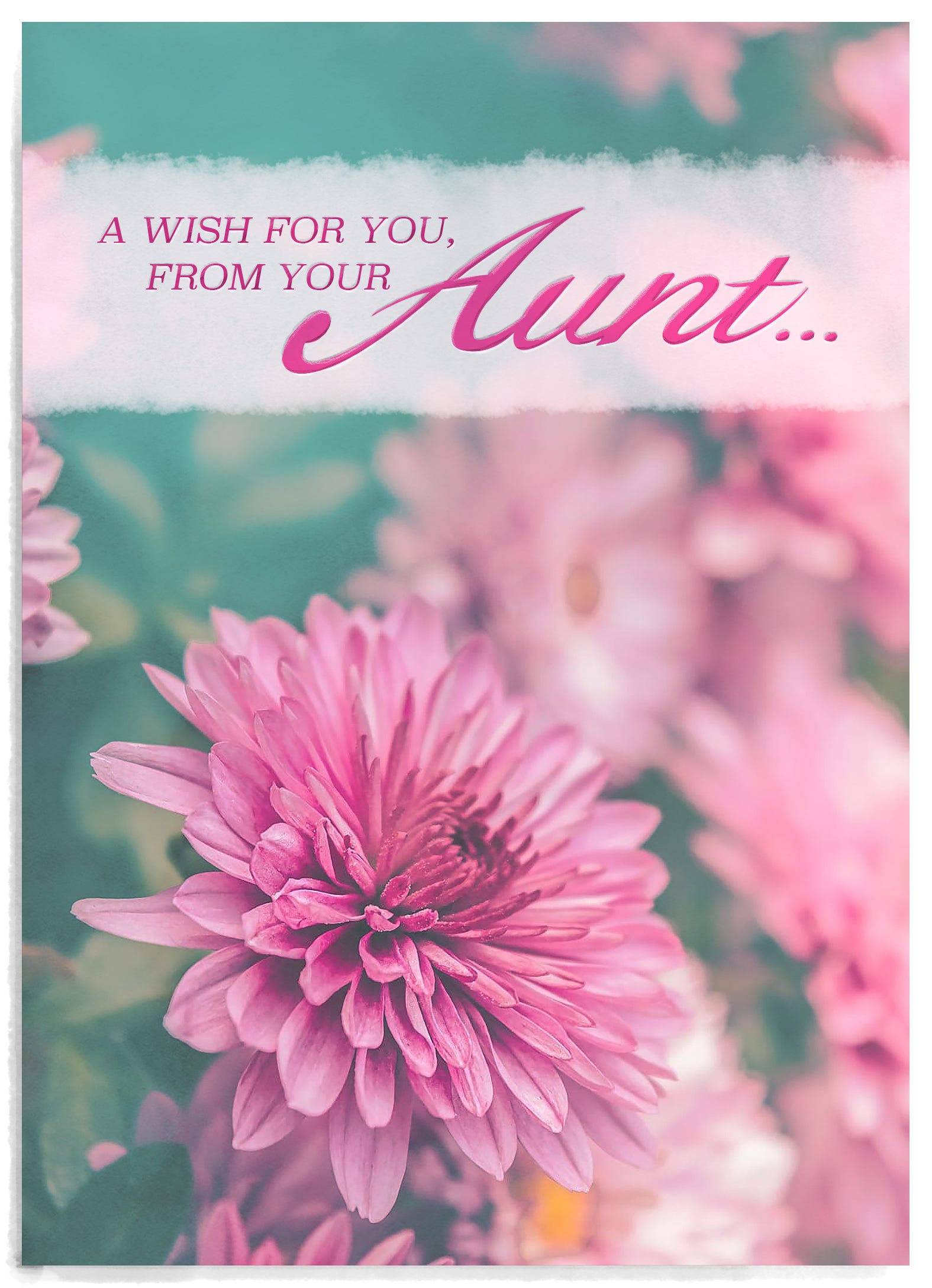 A Card from Your Aunt - by Adam Rex - PICTURE DAY