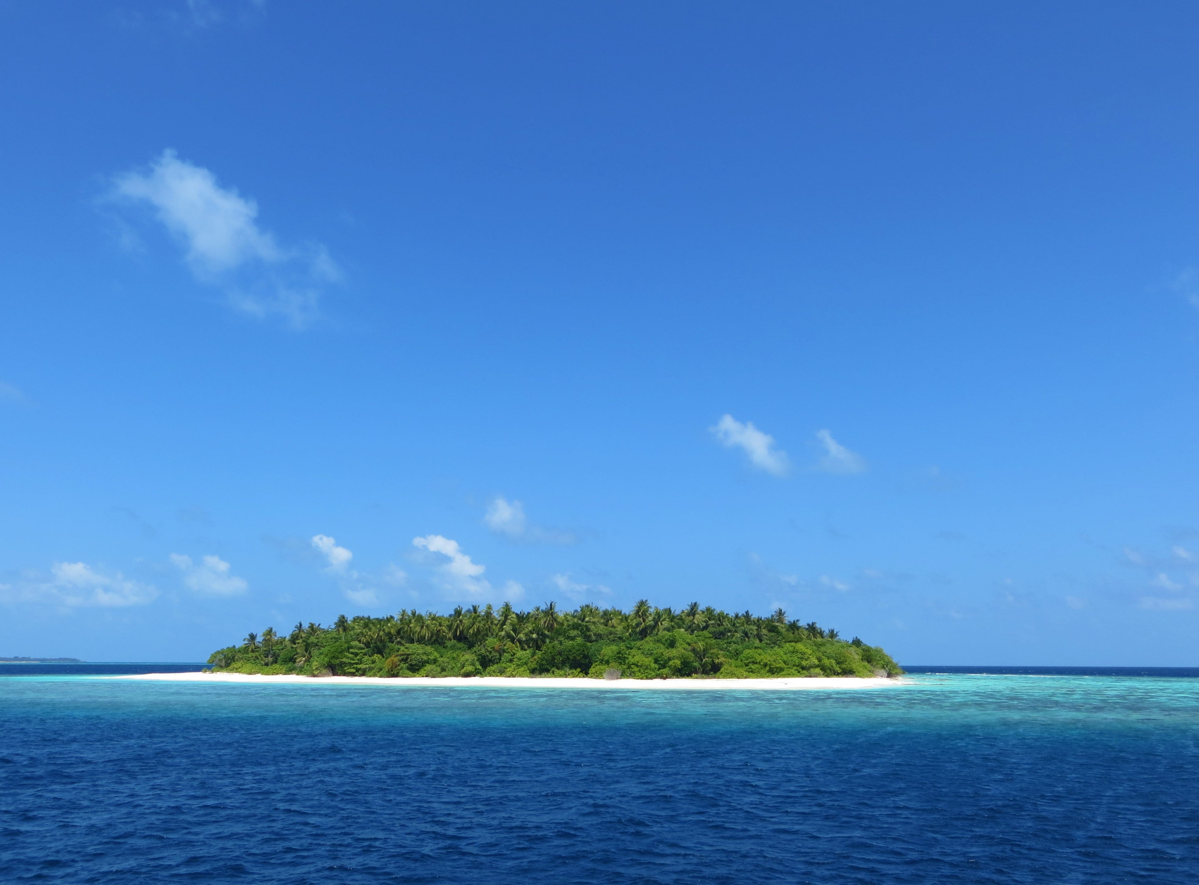 20 Desert Island Must-Haves - by Sara Benincasa - Saratonin
