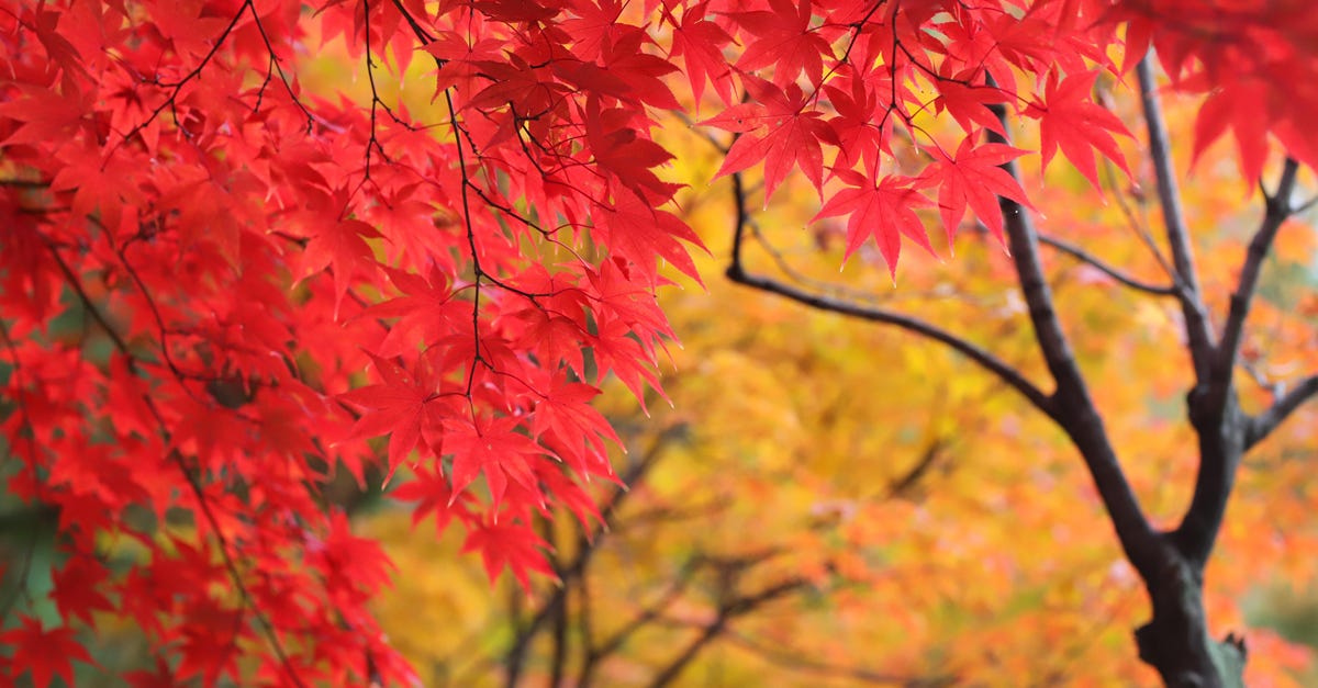 Background goodness - by Ralph Marston