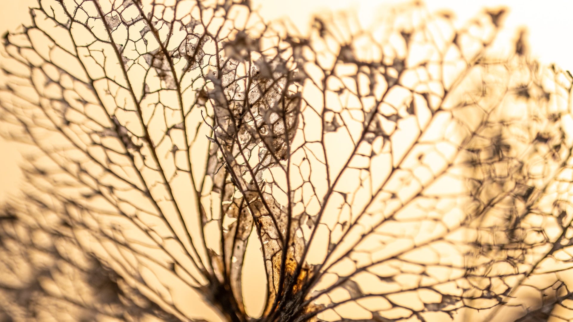 The "Brittleness" Problem in Data Pipelines.