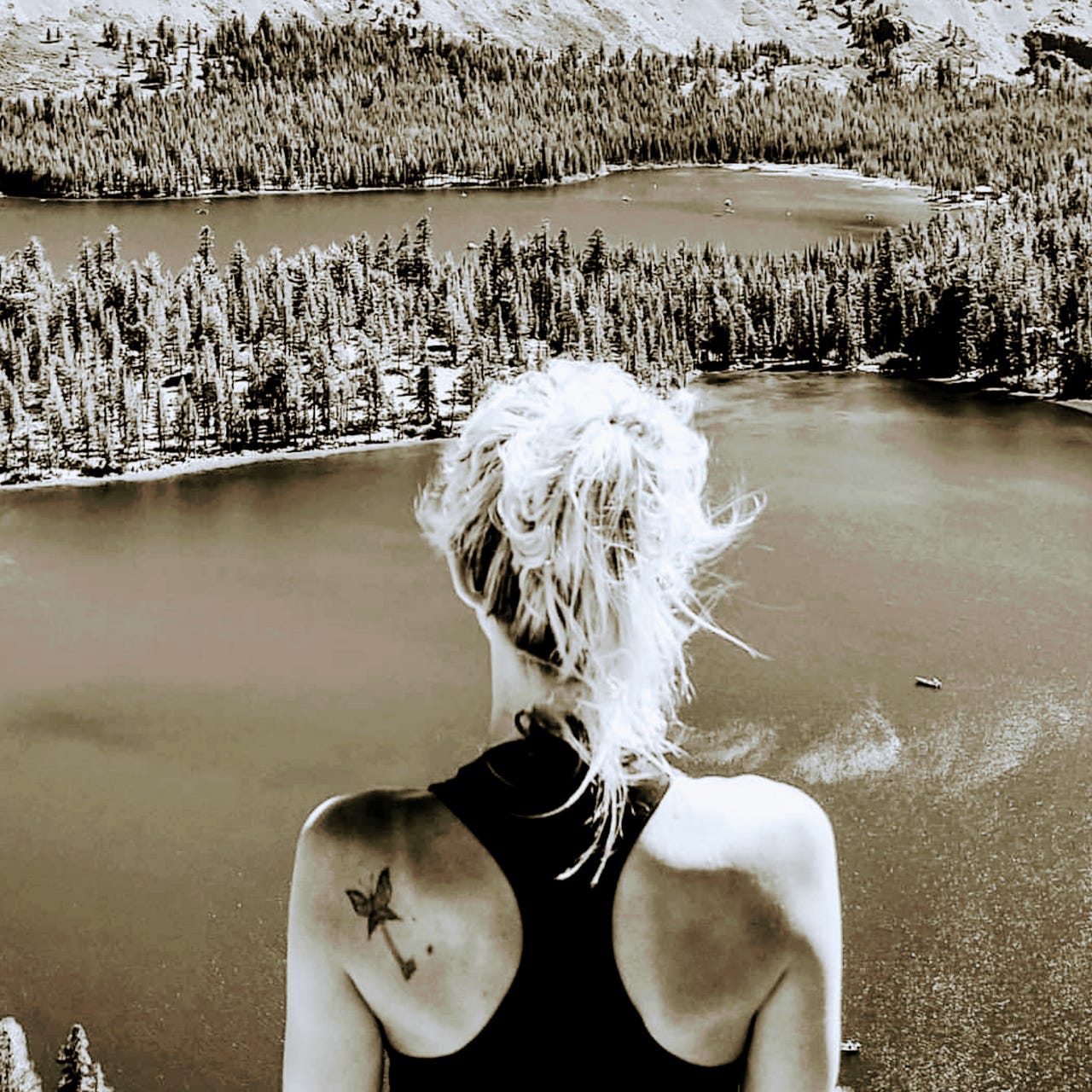 Join Jamie Reese Zimmerman’s subscriber chat