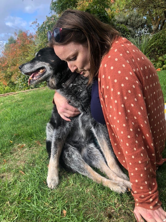 [CROSS-POST] Easter Dog, Lazarus Dog - by Tony Wilson