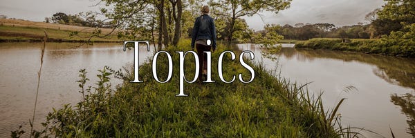 Library - by Jan Blencowe - Hedge Mystic