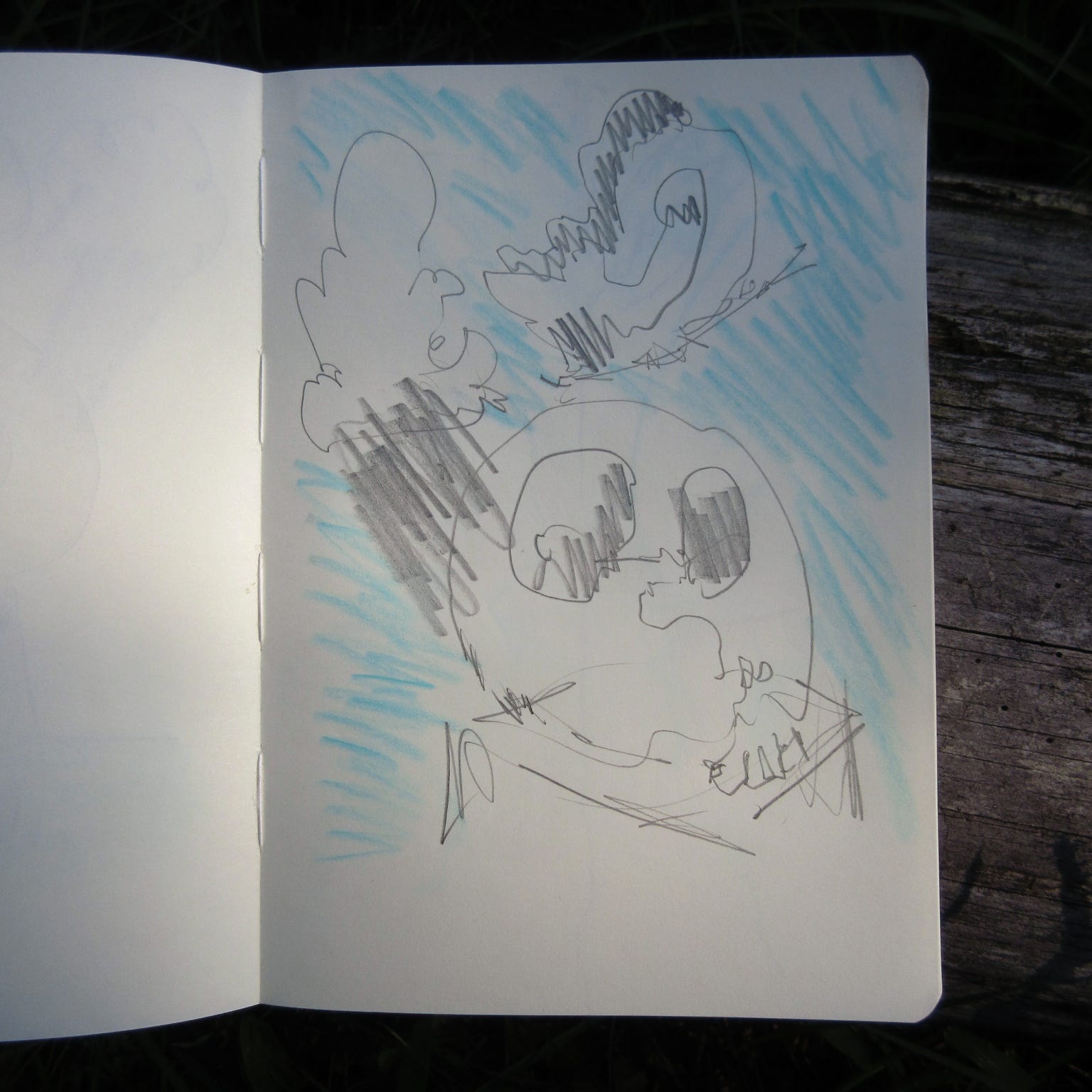 Baby Mushroom Skull Hunting - by Elliot Lessing