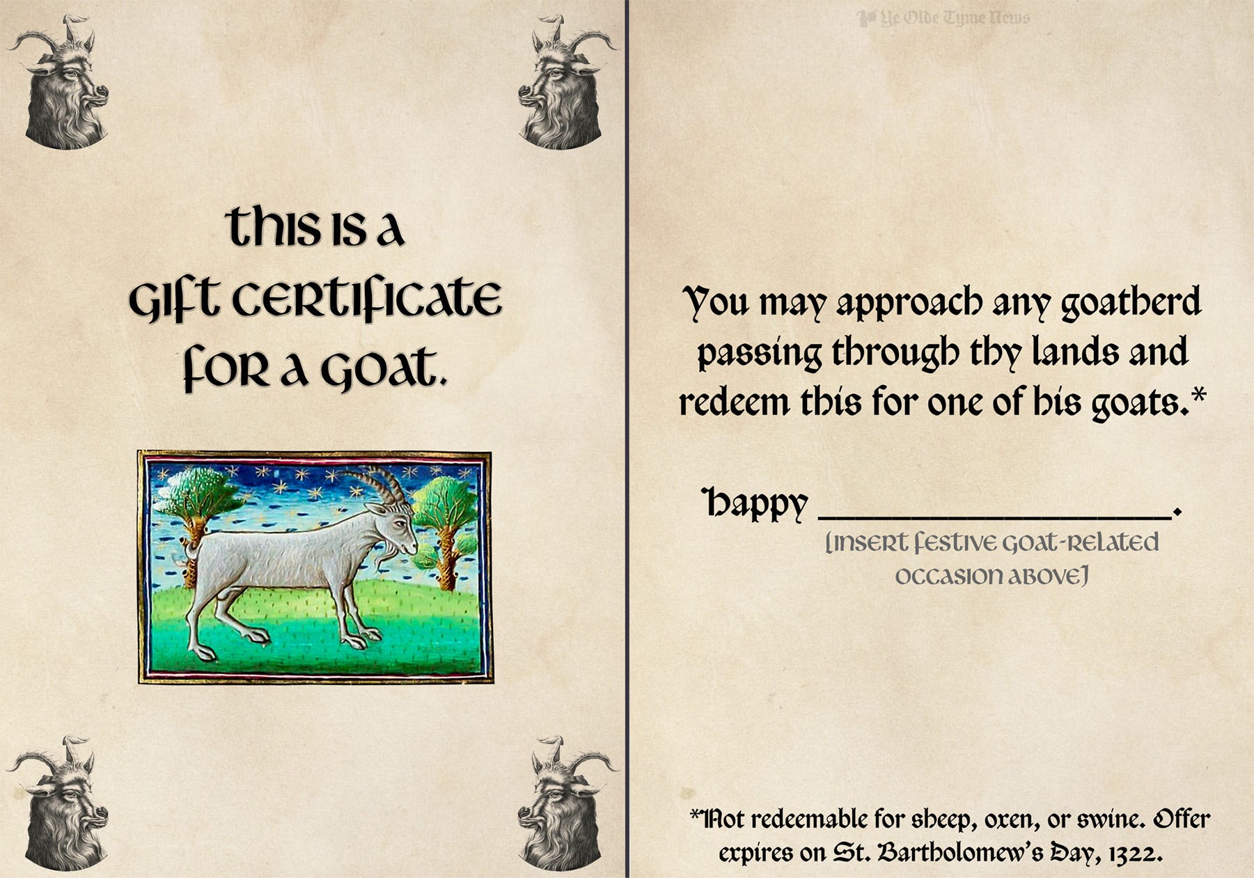 Medieval Greeting Cards - by Jan Lionsnest