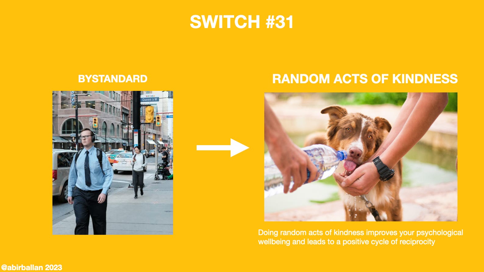 THE SWITCH CHALLENGE - by Abir Ballan, MPH