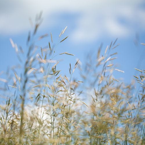 Tales & Treasure Chapter 15 - by Rob Mortell