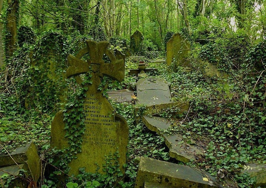 The Undergrave • part 4 - Hidden Others - by Layne Mercer