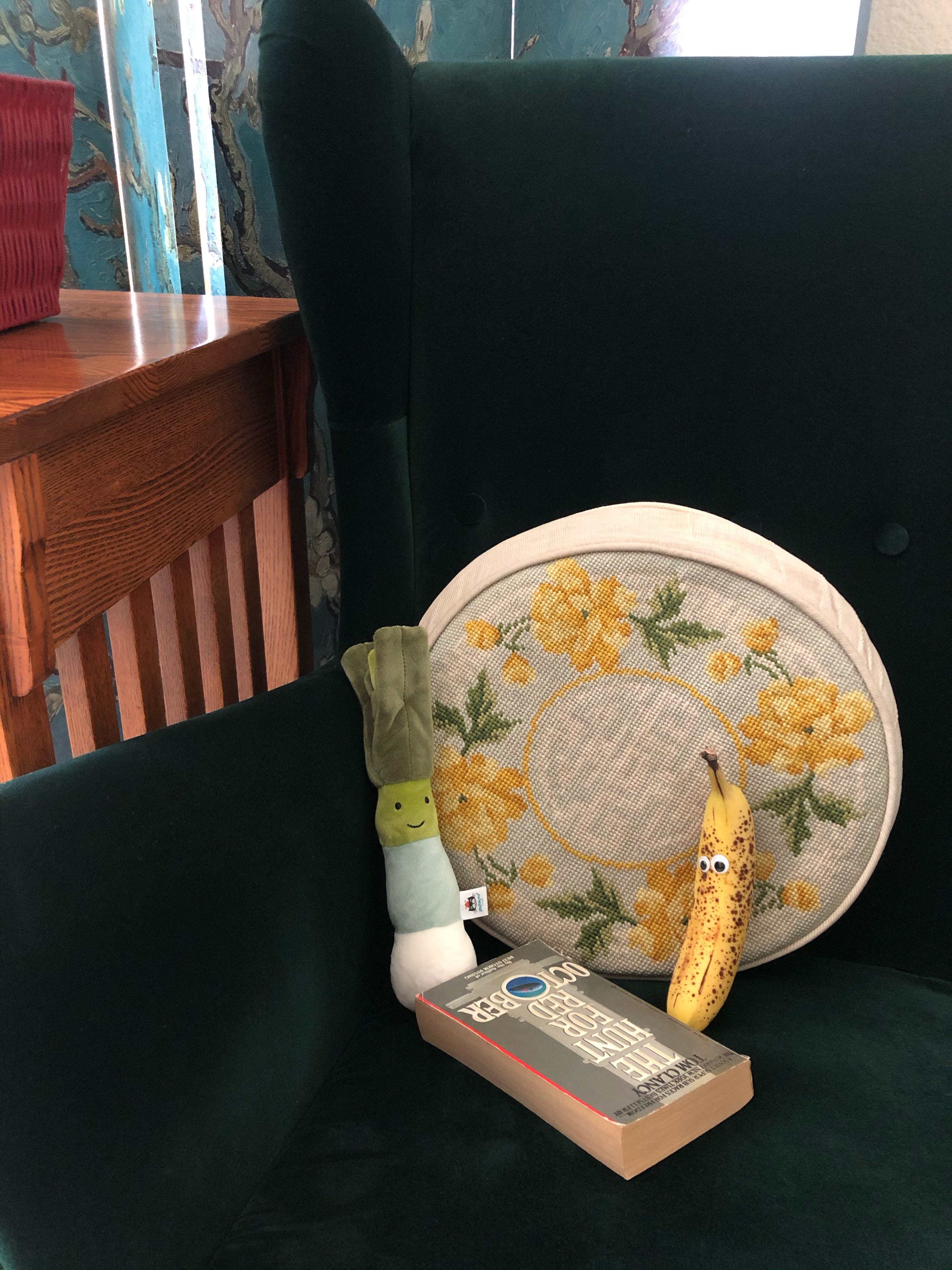 A Picture Book! - by Janet Salsman - Janet’s Substack