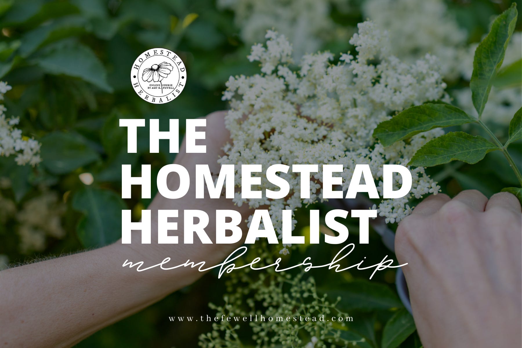 START HERE | Homestead Herbalist Membership