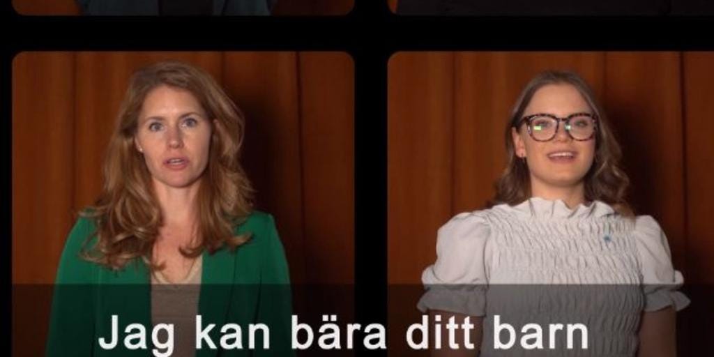 Susanna Birgersson: Att sälja sin livmoder är omoraliskt