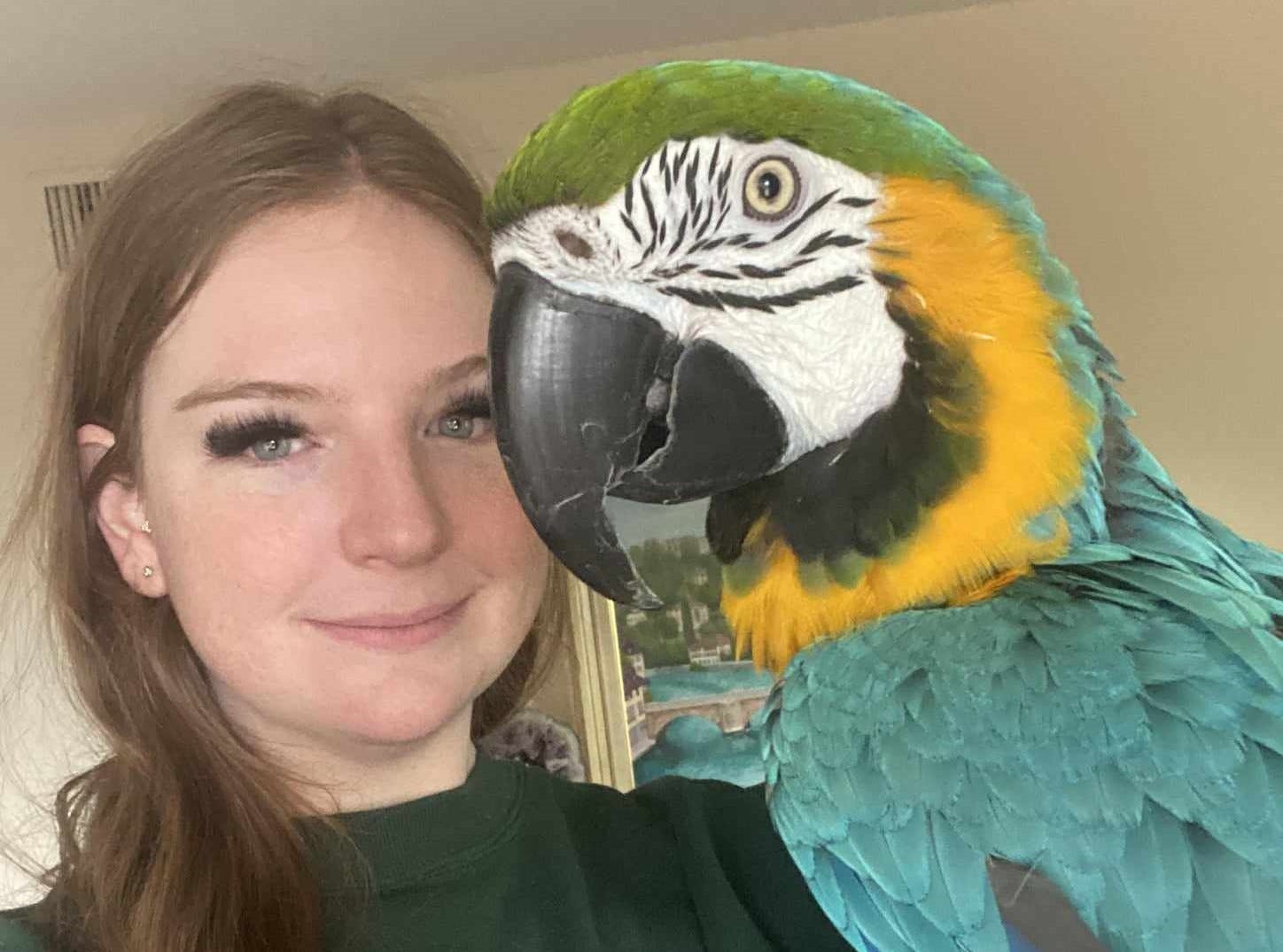 Scarlet Macaws Were Traded From Mexico to the Four Corners Area