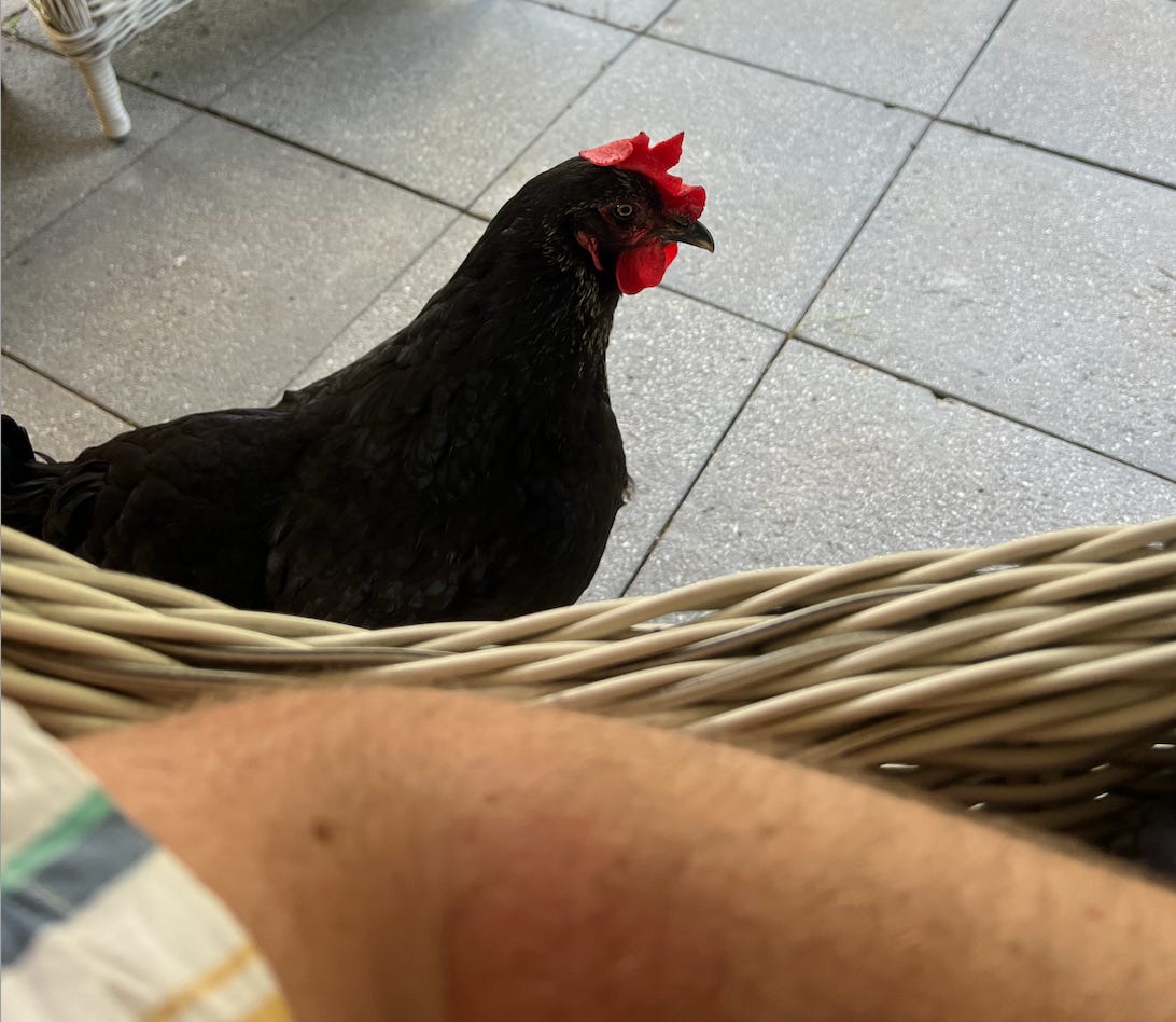 You Can't Crush Mush - by Rick Morton - Nervous Laughter